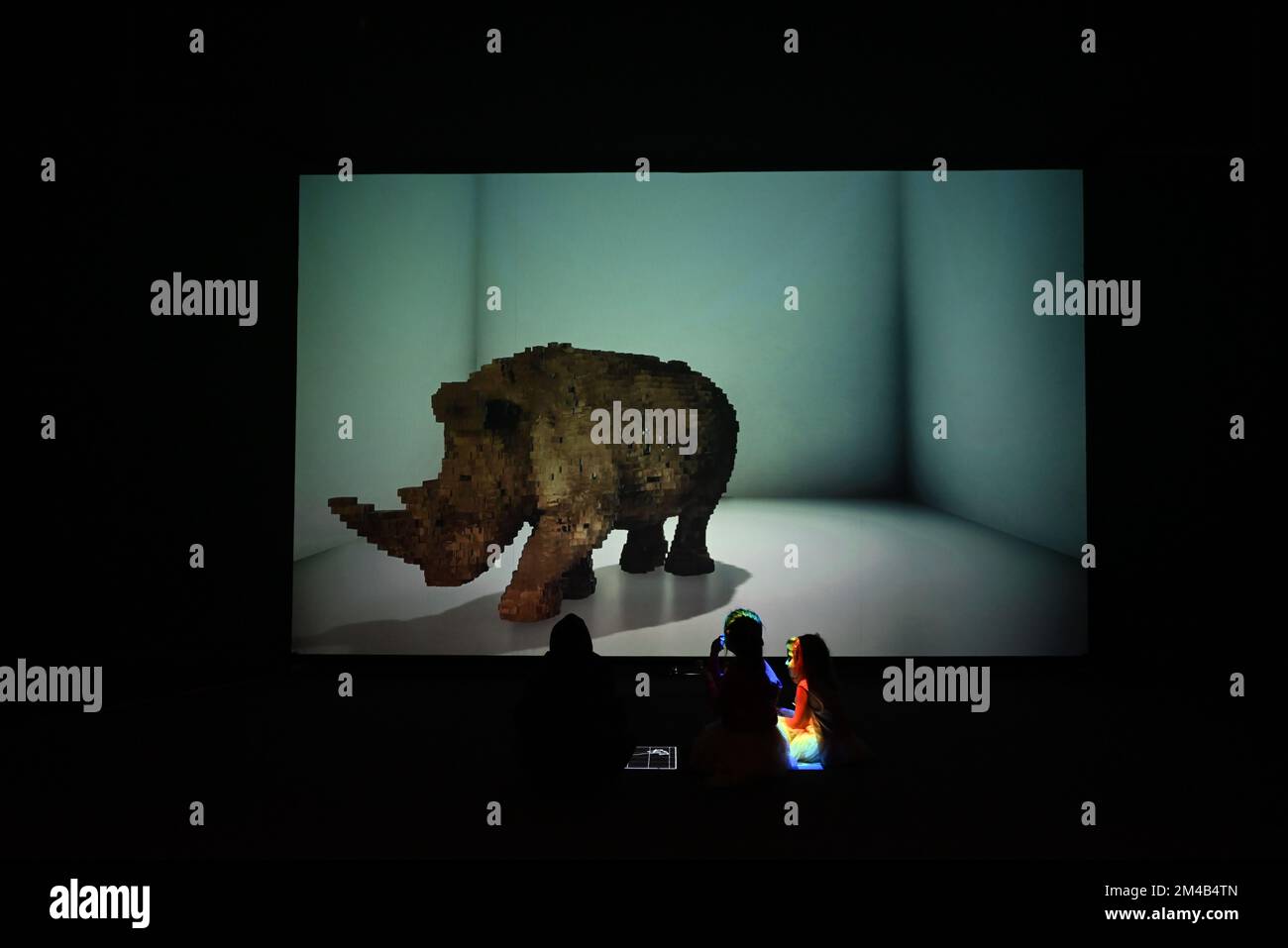 The Substitute, a video installation by artist Alexandra Daisy Ginsberg ...