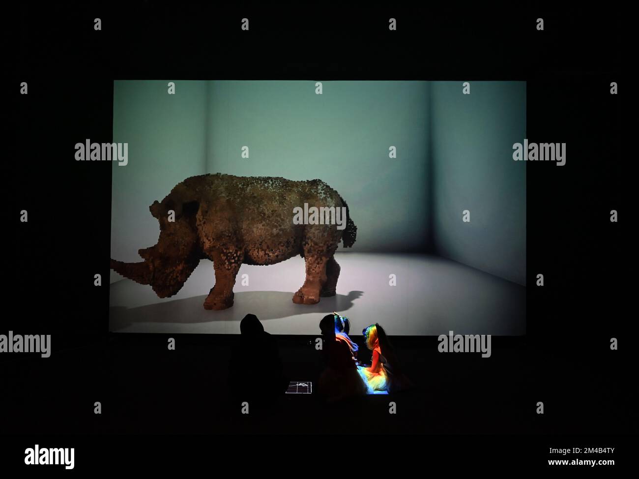 The Substitute, a video installation by artist Alexandra Daisy Ginsberg ...