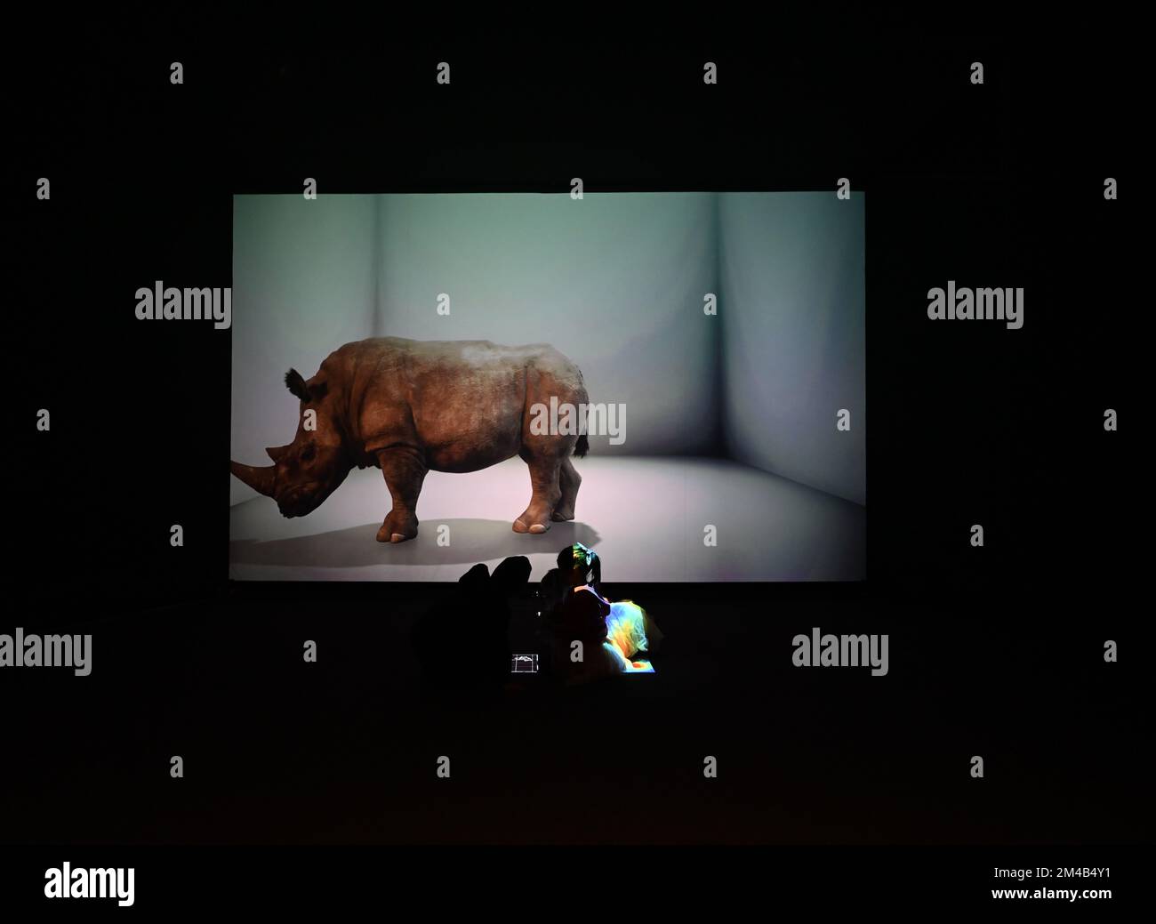The Substitute, a video installation by artist Alexandra Daisy Ginsberg ...