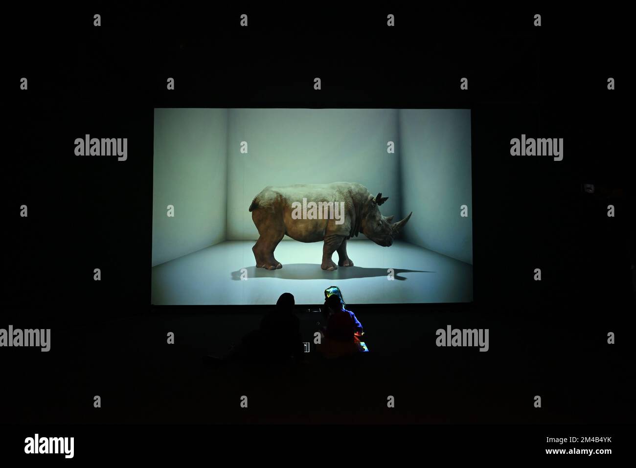 The Substitute, a video installation by artist Alexandra Daisy Ginsberg ...