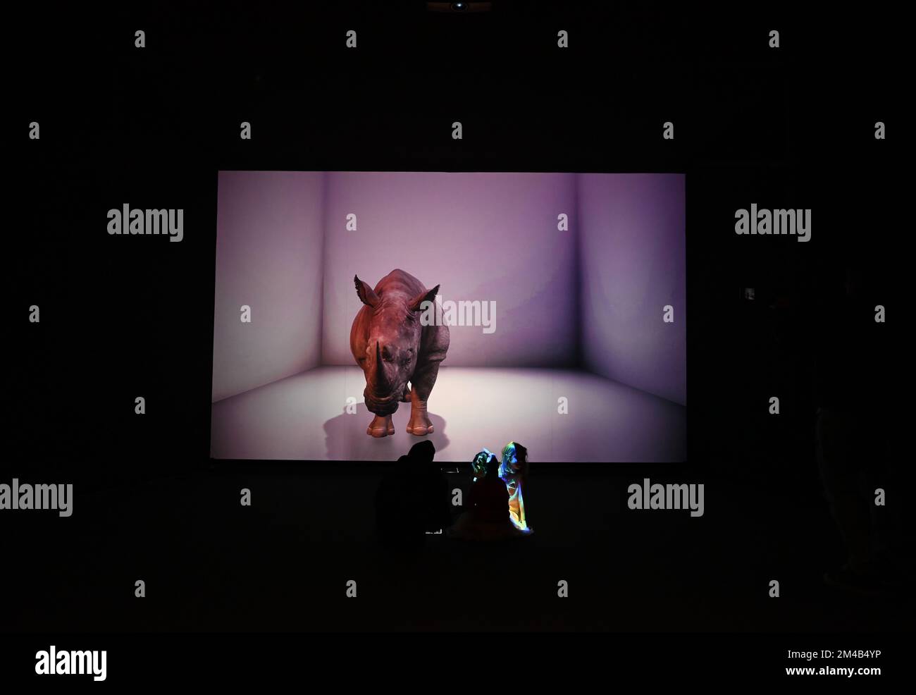The Substitute, a video installation by artist Alexandra Daisy Ginsberg ...