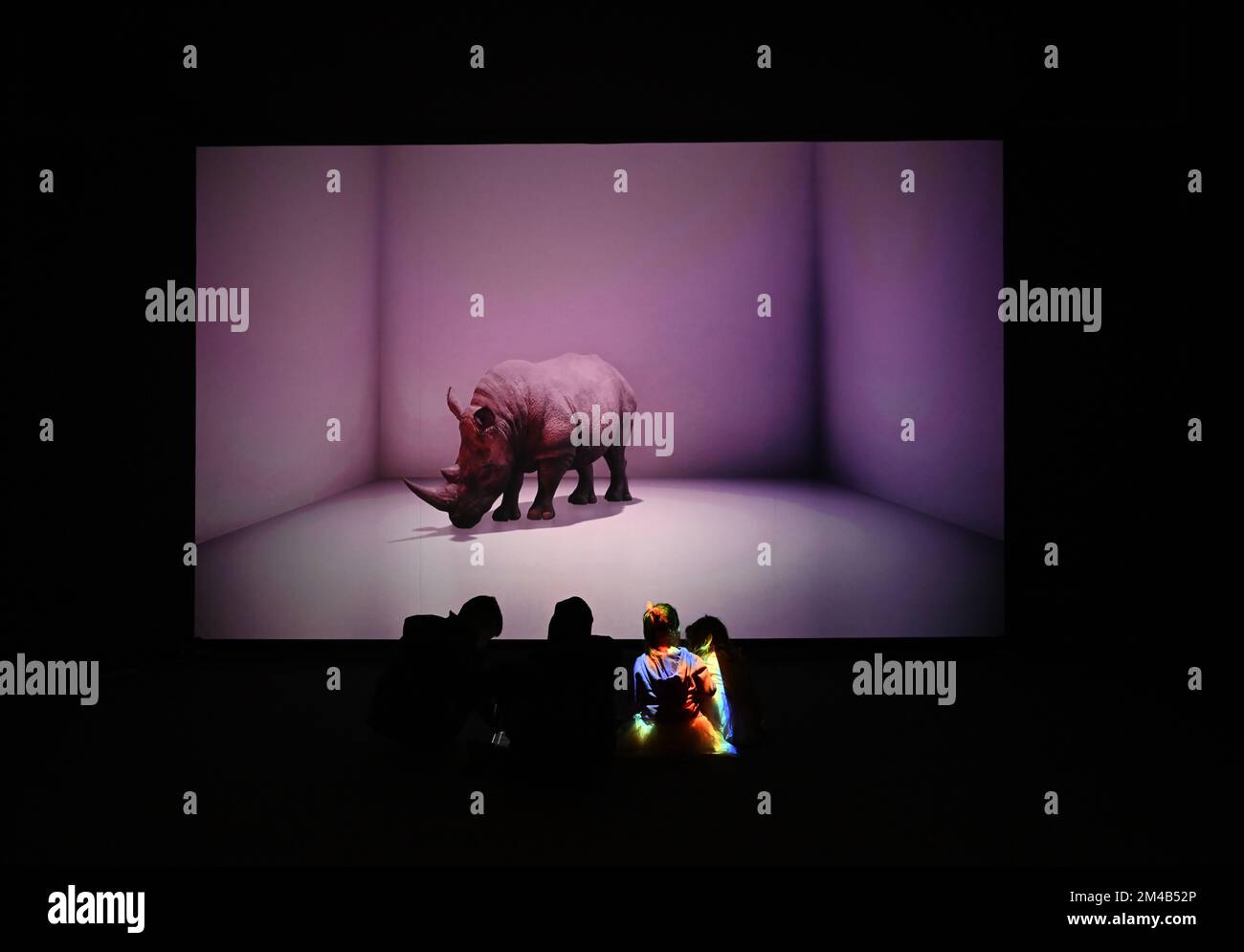 The Substitute, a video installation by artist Alexandra Daisy Ginsberg ...