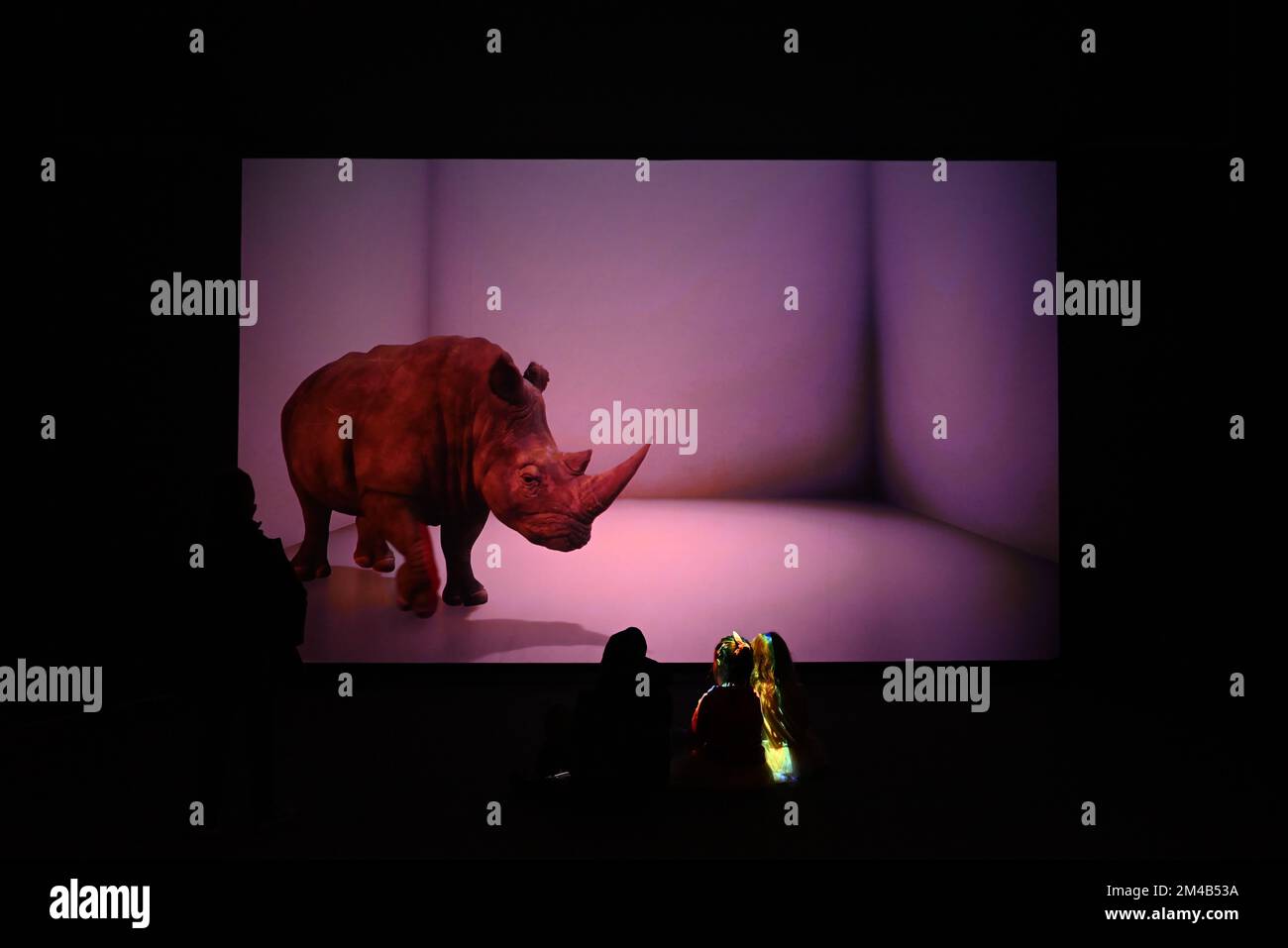 The Substitute, a video installation by artist Alexandra Daisy Ginsberg ...