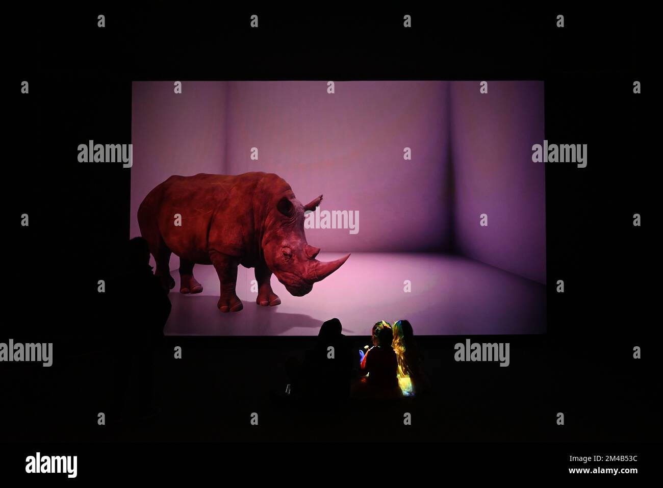 The Substitute, a video installation by artist Alexandra Daisy Ginsberg ...