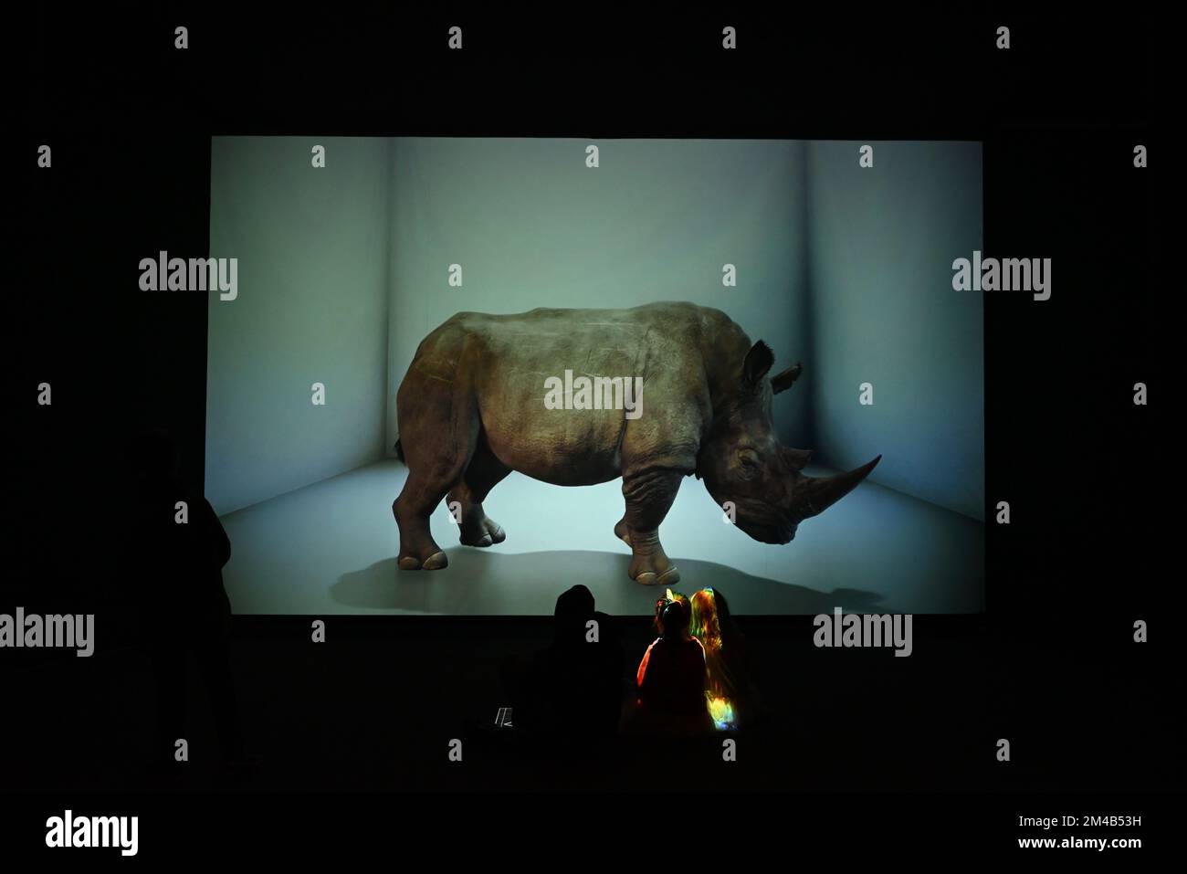 The Substitute, a video installation by artist Alexandra Daisy Ginsberg ...