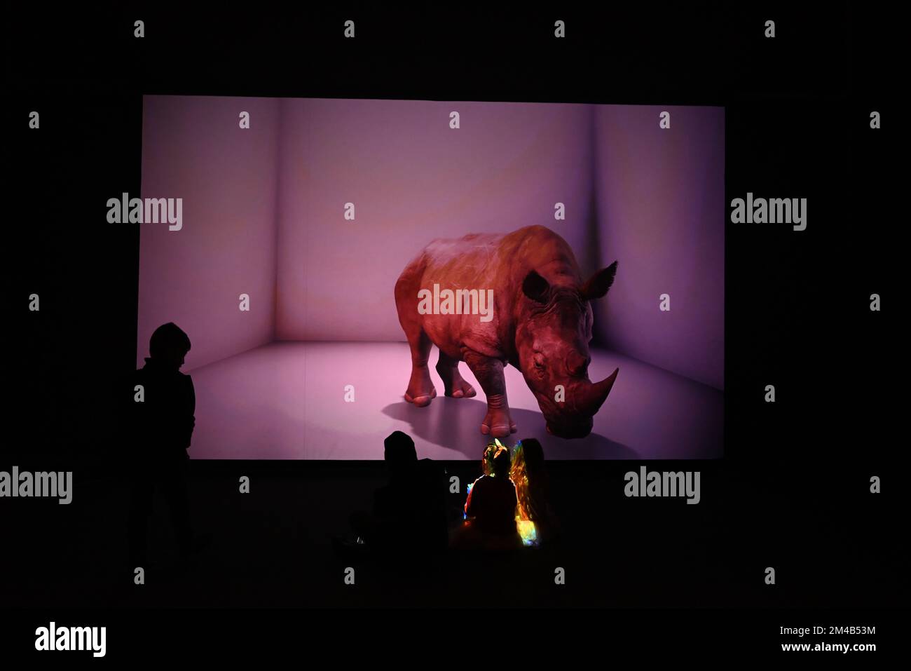 The Substitute, a video installation by artist Alexandra Daisy Ginsberg ...