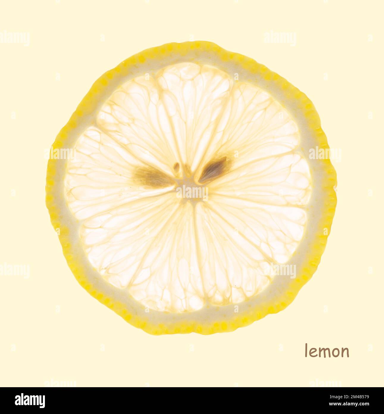 Fresh sliced lemon x-ray poster on yellow background. Top view and ...