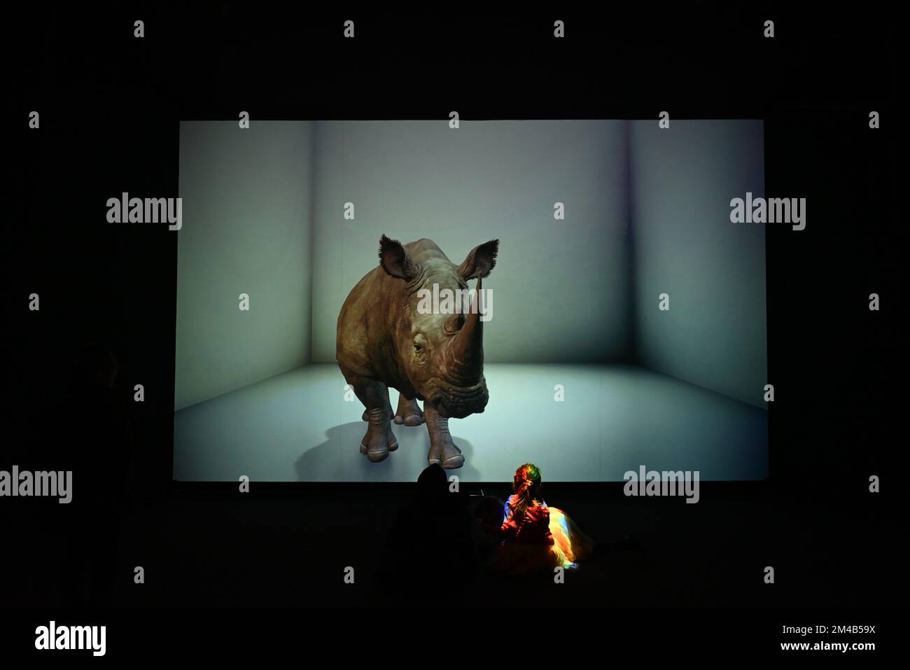 The Substitute, a video installation by artist Alexandra Daisy Ginsberg ...
