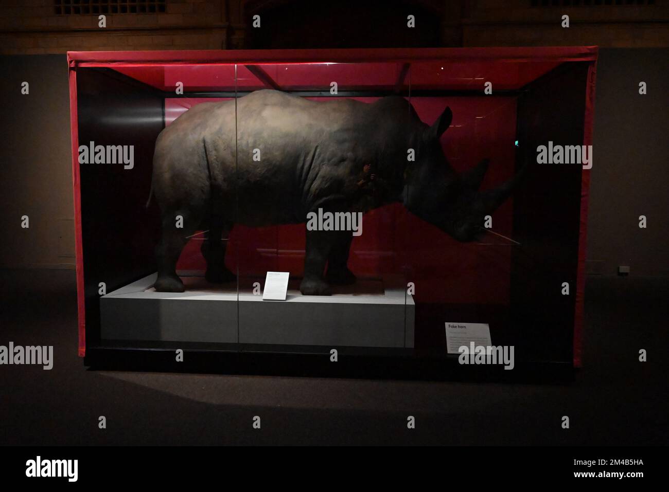 The Substitute, a video installation by artist Alexandra Daisy Ginsberg ...