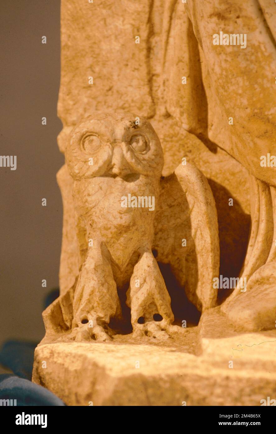 Statue called The Capitoline Triad, detail of the Owl, Rome, Italy 1994 ...