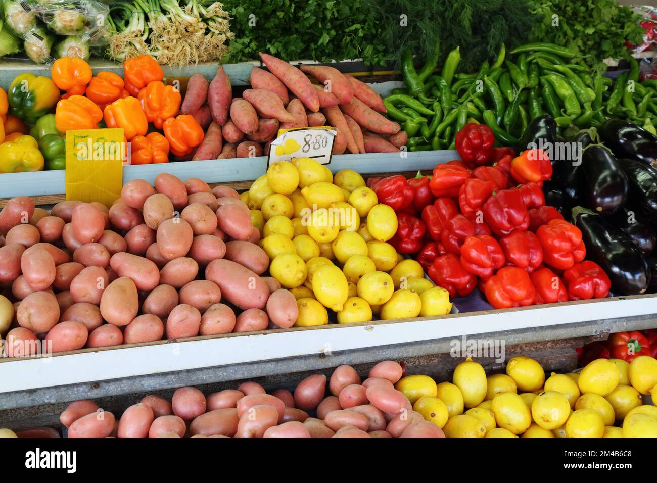 Talpiot market hi-res stock photography and images - Alamy