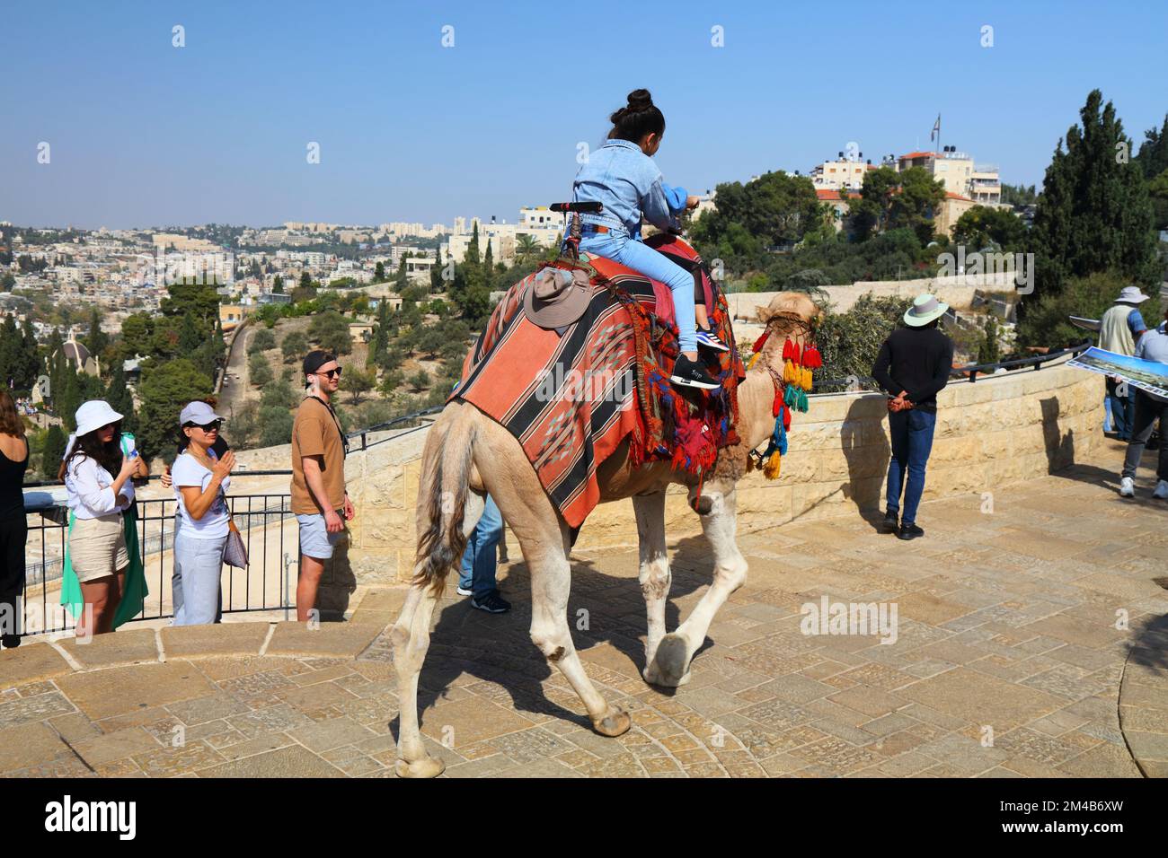 JERUSALEM, ISRAEL - OCTOBER 29, 2022: Tourist enjoys a camel ride on ...