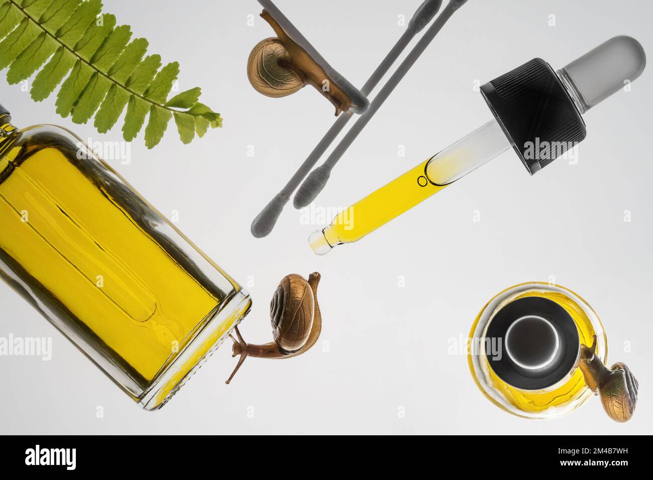 Liquid serum in a bottle with a dropper, fern and snails. Skin care ...