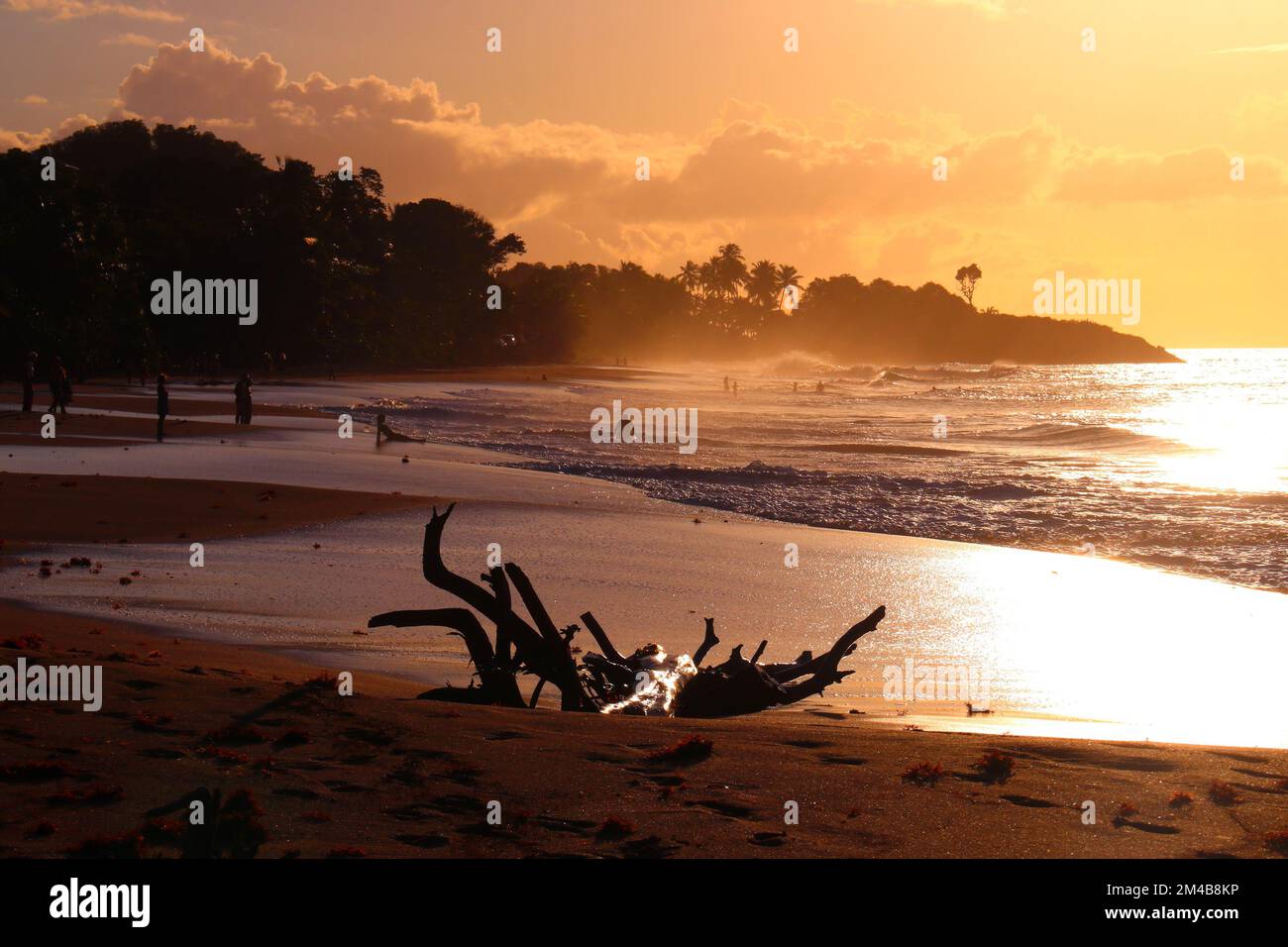 Guadeloupe sandy beach sunset. Caribbean vacation sunset landscape ...