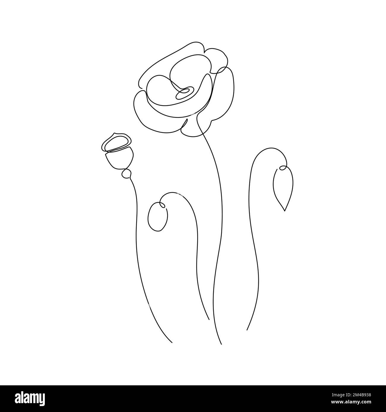 Simple poppy flower art. One continuous line art decorative poppy draw ...