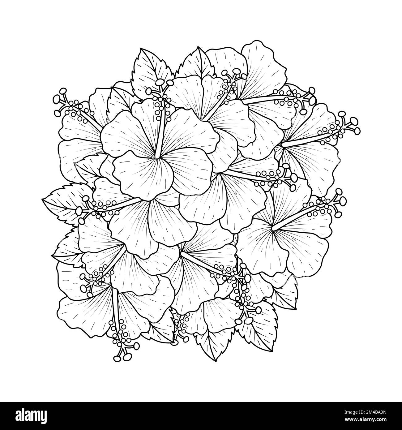 common hibiscus flower outline blossoming petal or rose mallow flowers ...