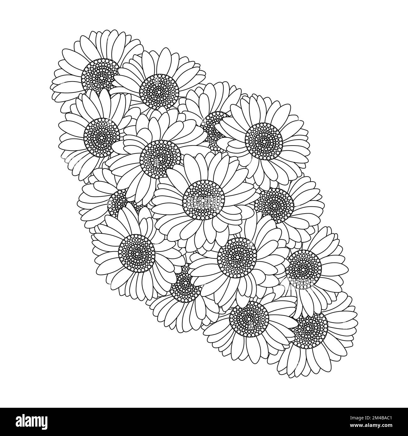 sunflower vector outline coloring page of blooming petal and leaves ...