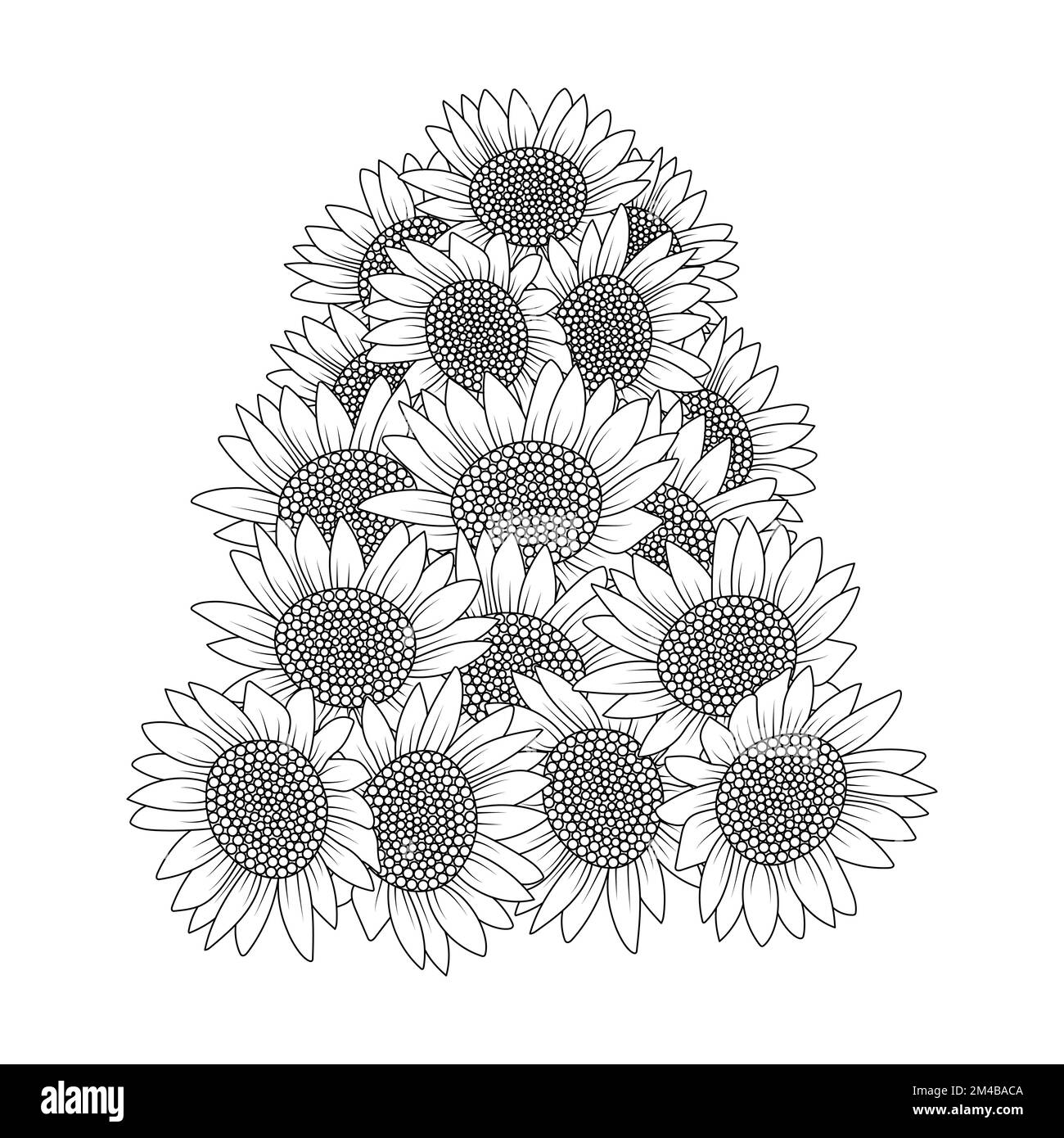sunflower vector outline coloring page of blooming petal and leaves ...