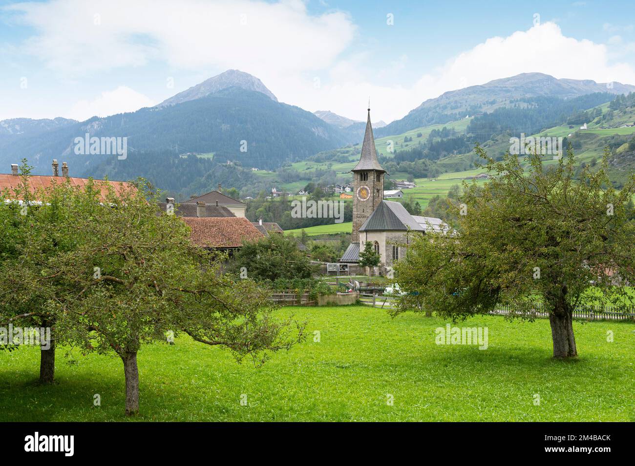 st. martin church, zillis, switzerland Stock Photo - Alamy