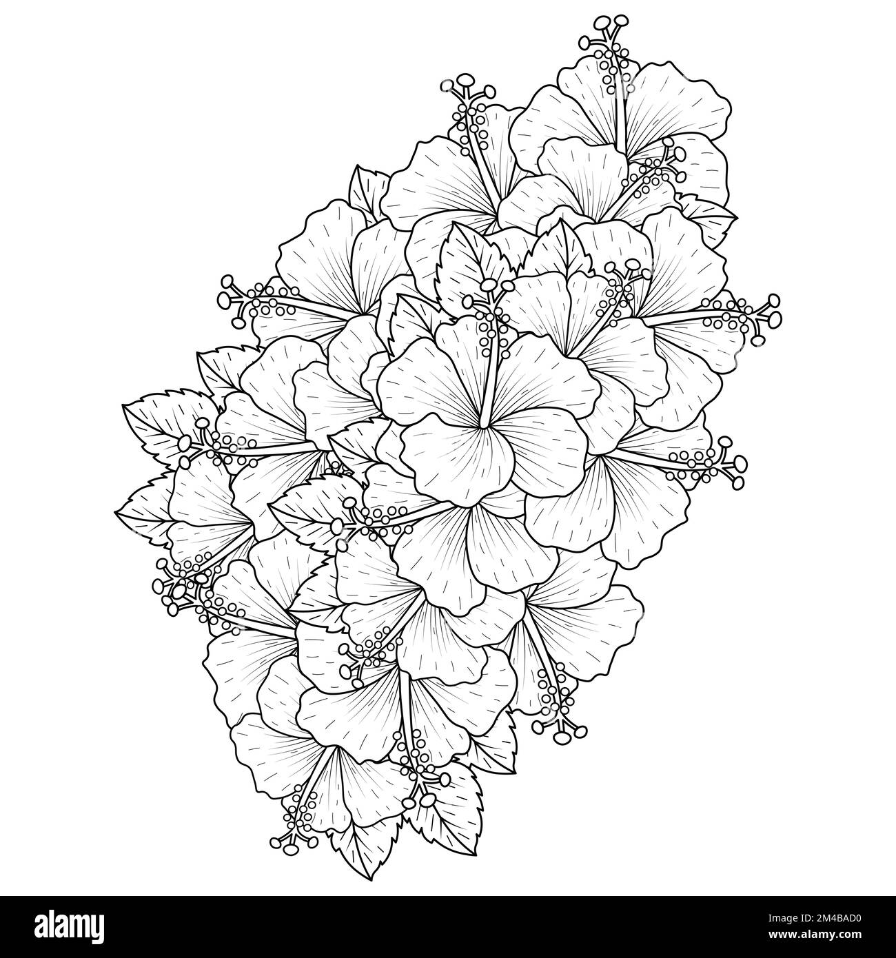 Hibiscus moscheutos rose mallow flower Black and White Stock Photos ...