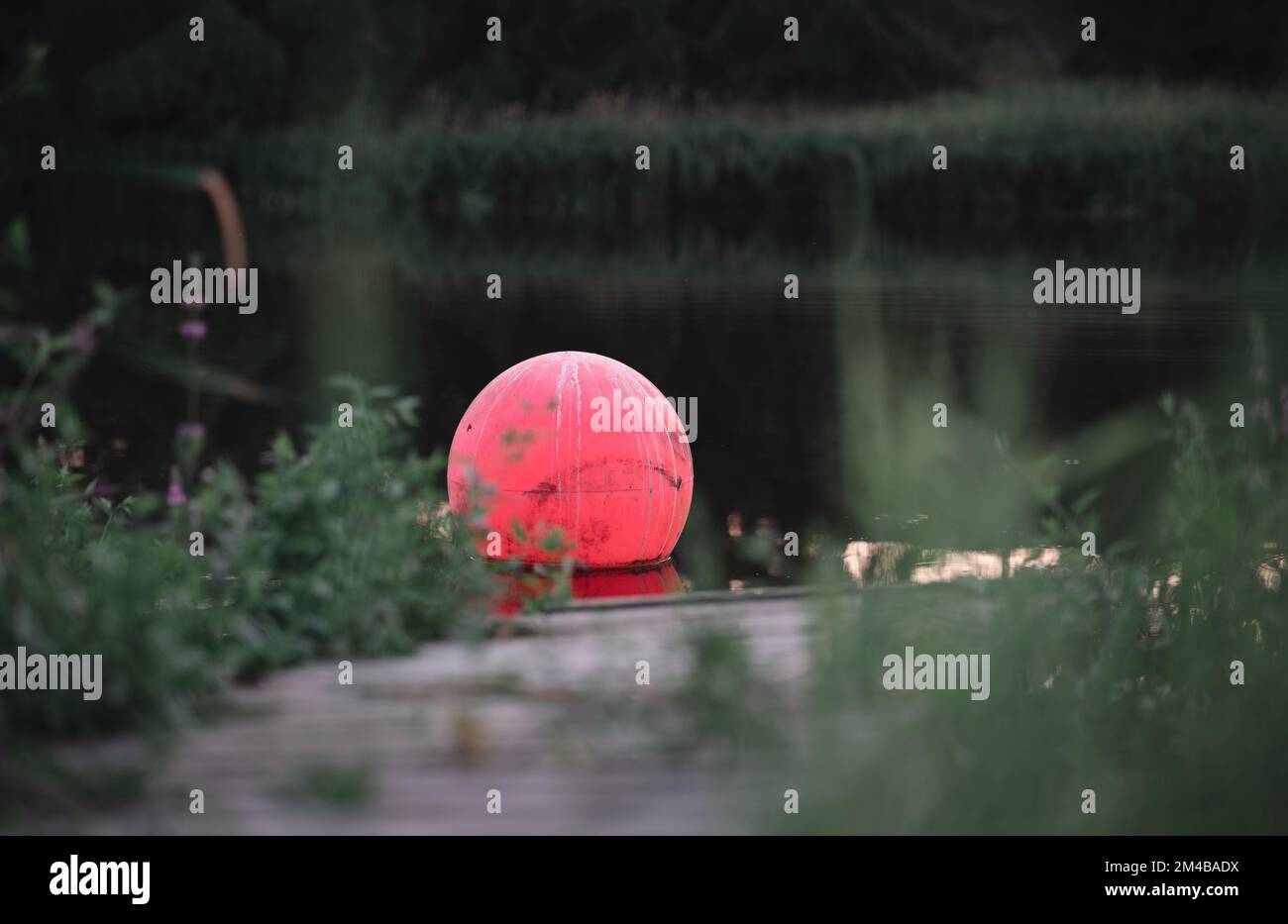 A large red ball floating on a river surrounded by grass Stock Photo ...