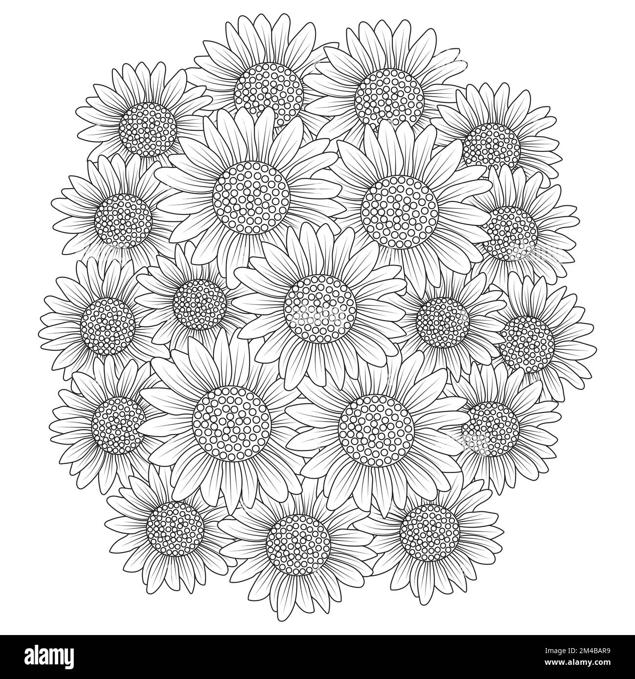 sunflower vector outline coloring page of blooming petal and leaves ...