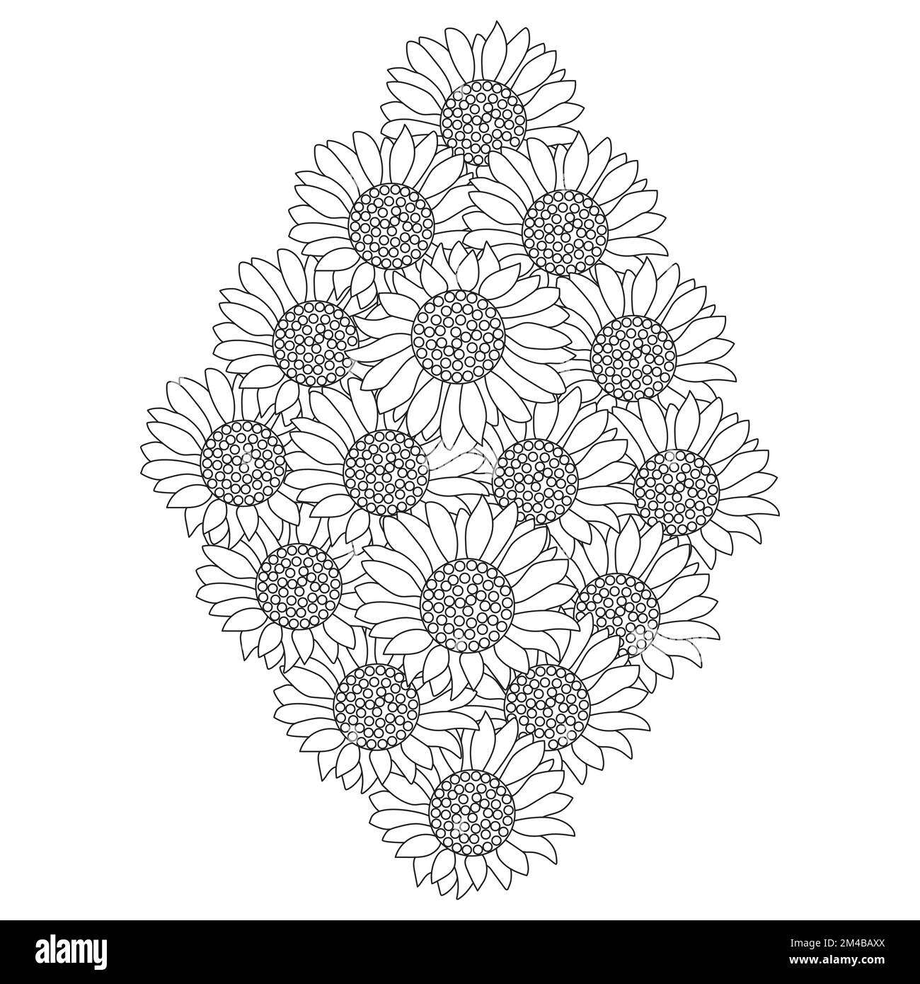 sunflower vector outline coloring page of blooming petal and leaves ...