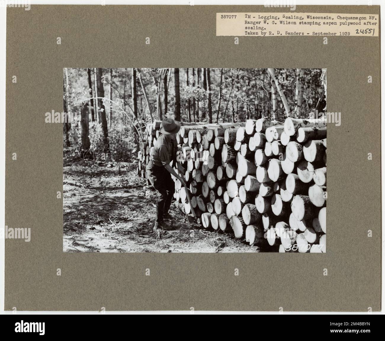 Wisconsin logging hi-res stock photography and images - Alamy