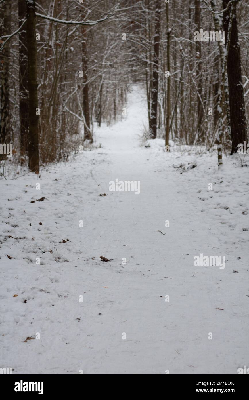Curve path snow covered hi-res stock photography and images - Alamy