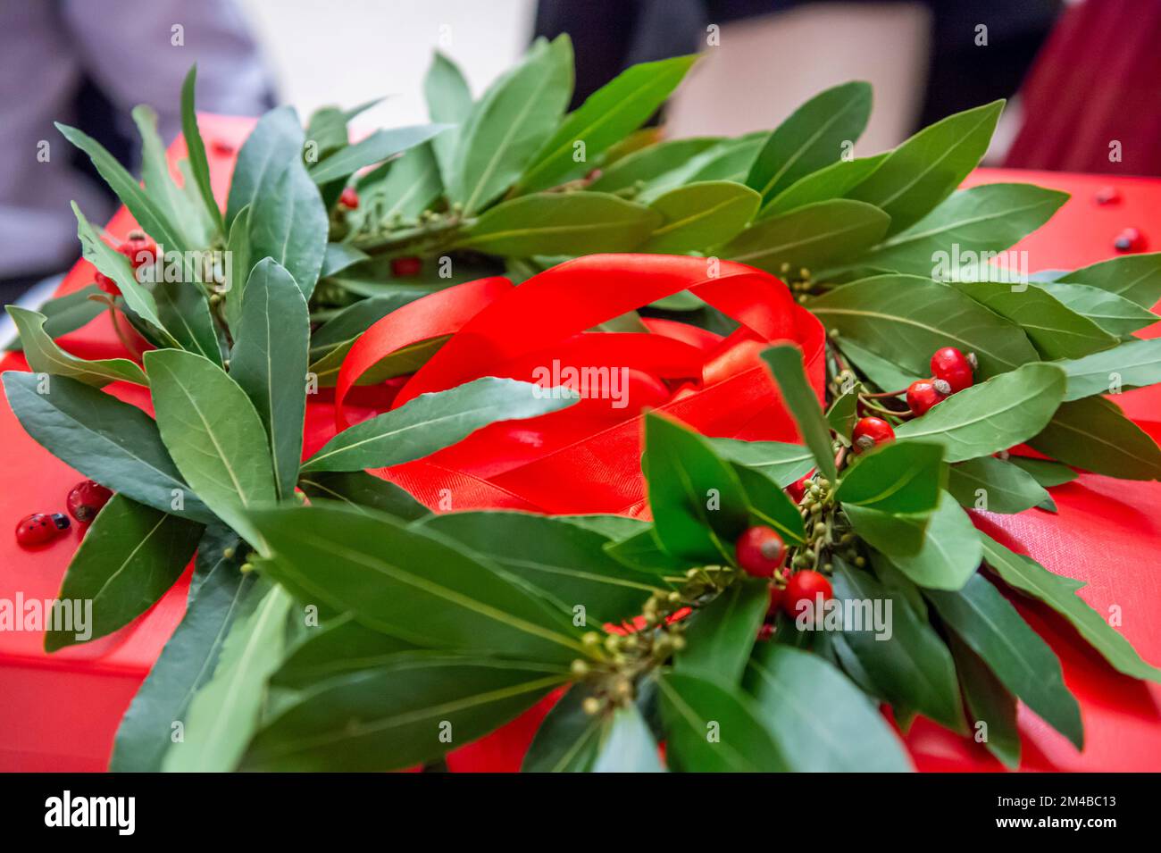 laurel crown of the graduation, alzano lombardo, italy Stock Photo - Alamy