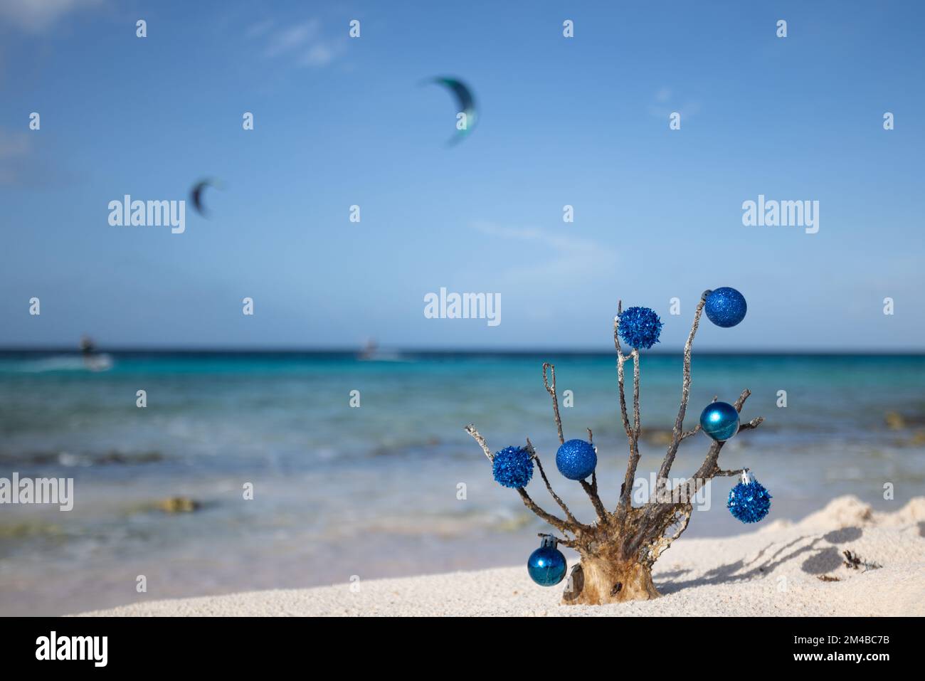 Dead corals decorated with blue Christmas balls standing on the sand ...