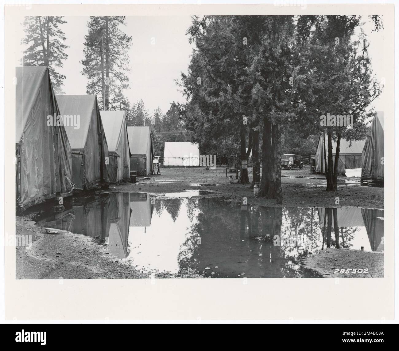 Civilian Conservation Corps - Camps - California. Photographs Relating ...