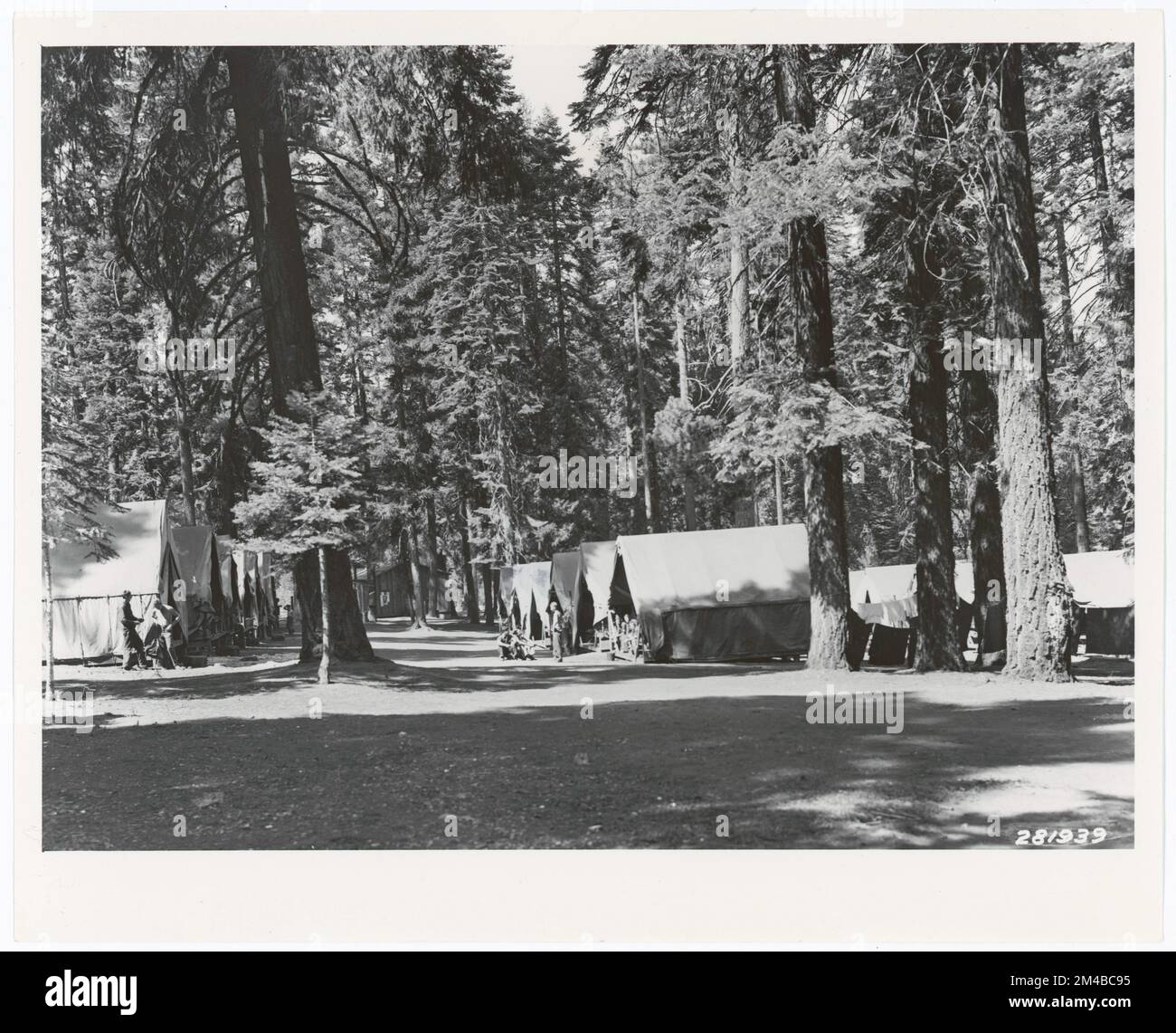Civilian Conservation Corps - Camps - California. Photographs Relating ...