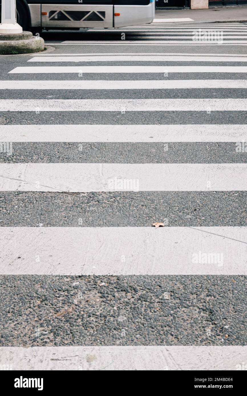 Bus driving narrow road in hi-res stock photography and images - Alamy