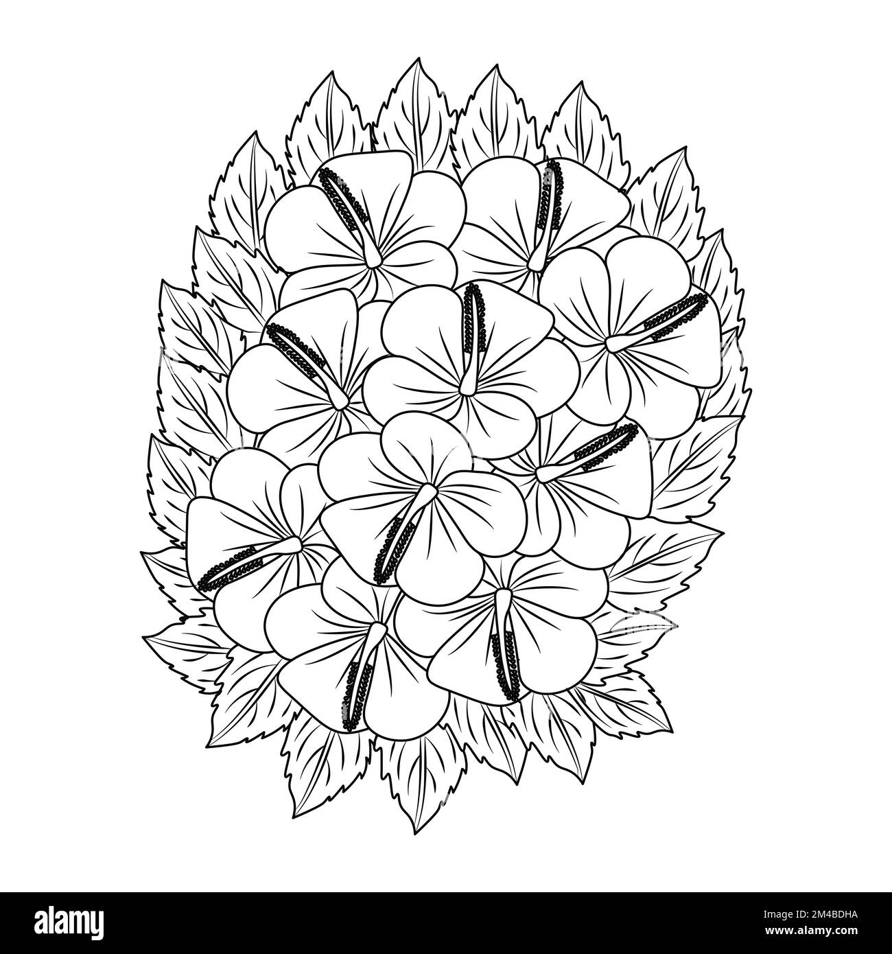 Hibiscus Syriacus Flower Or Common Hibiscus Flower Coloring Page Of