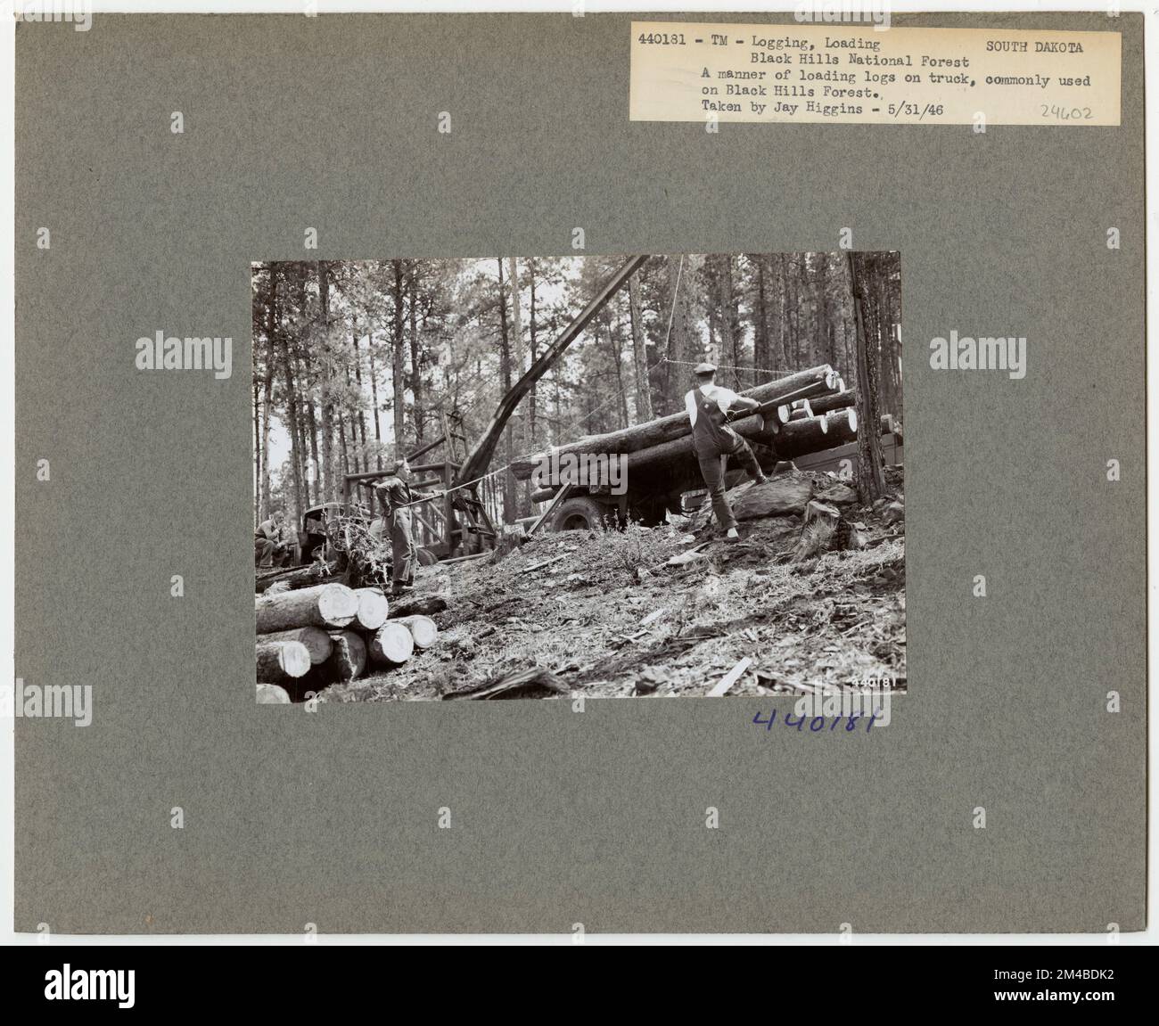 Logging: Loading Logs - South Dakota. Photographs Relating to National ...