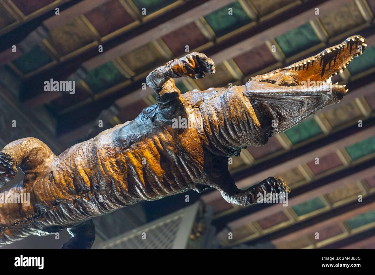 crying madonna sancruary: crocodile, ponte nossa, italy Stock Photo - Alamy