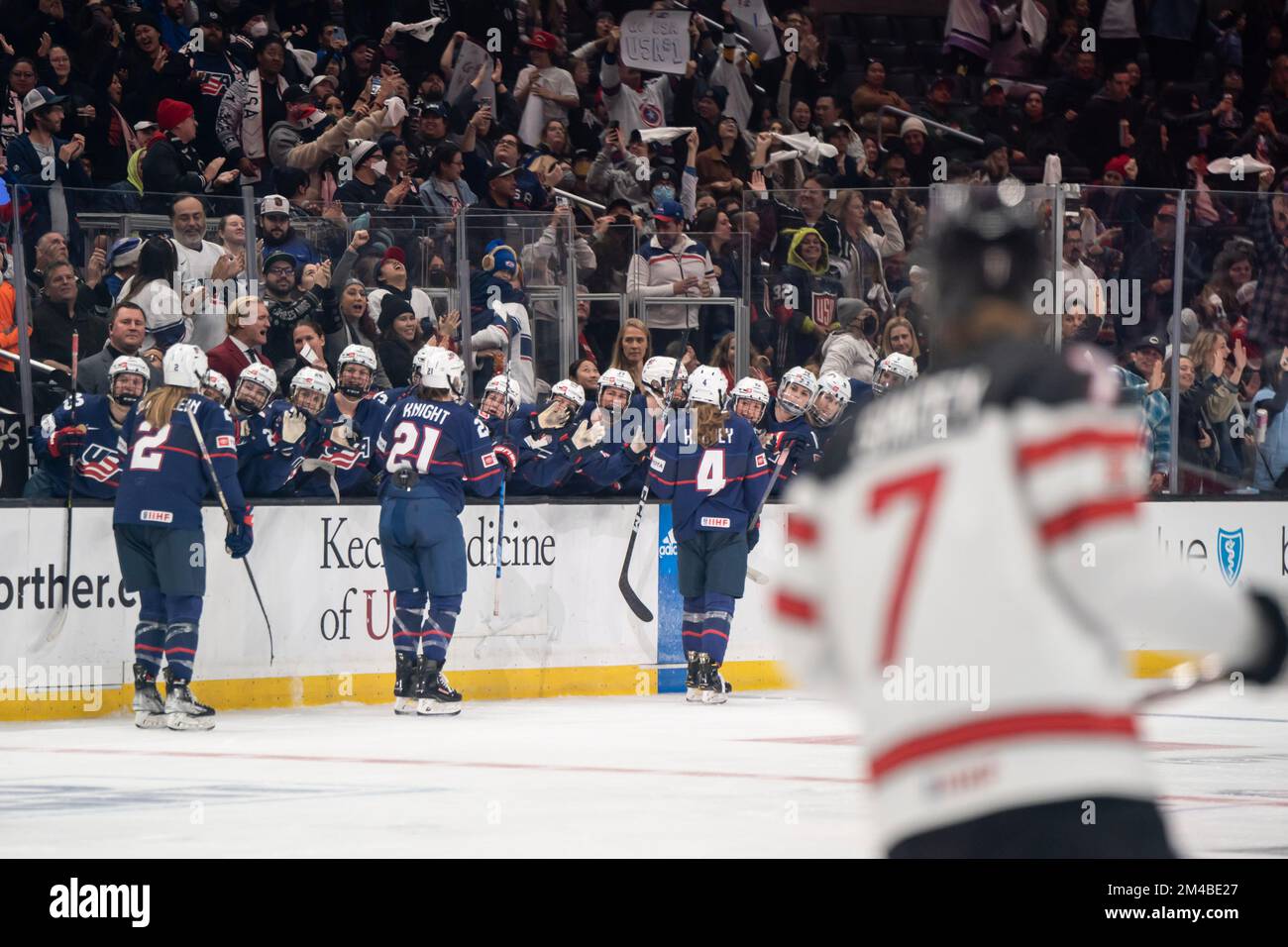 Team USA celebrate a goal during the 2022-23 Rivalry Series against ...