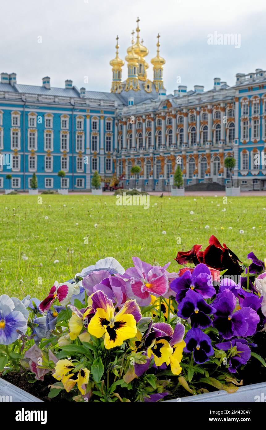 The Catherine Palace - Russian residence of Romanov Tsars. Located In ...
