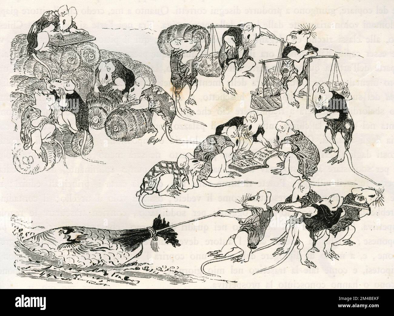 Japan merchants hi-res stock photography and images - Alamy