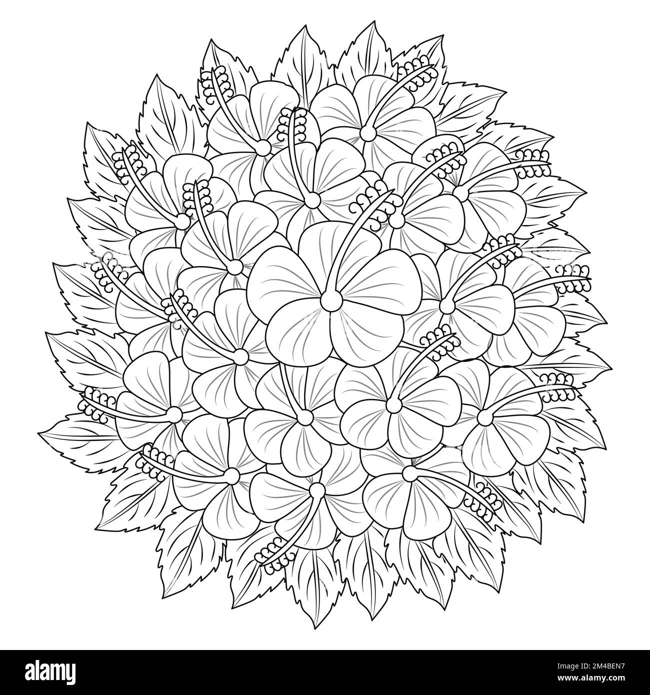 hibiscus syriacus flower or common hibiscus flower coloring page of ...