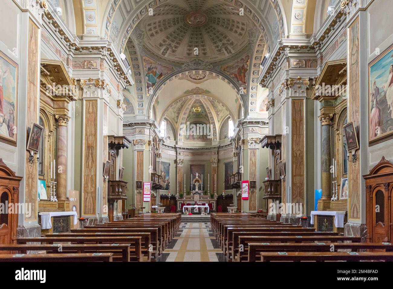 Paladina hi-res stock photography and images - Alamy