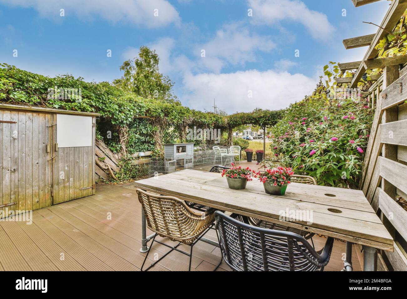 Backyard patio surrounded by trees hi-res stock photography and images ...