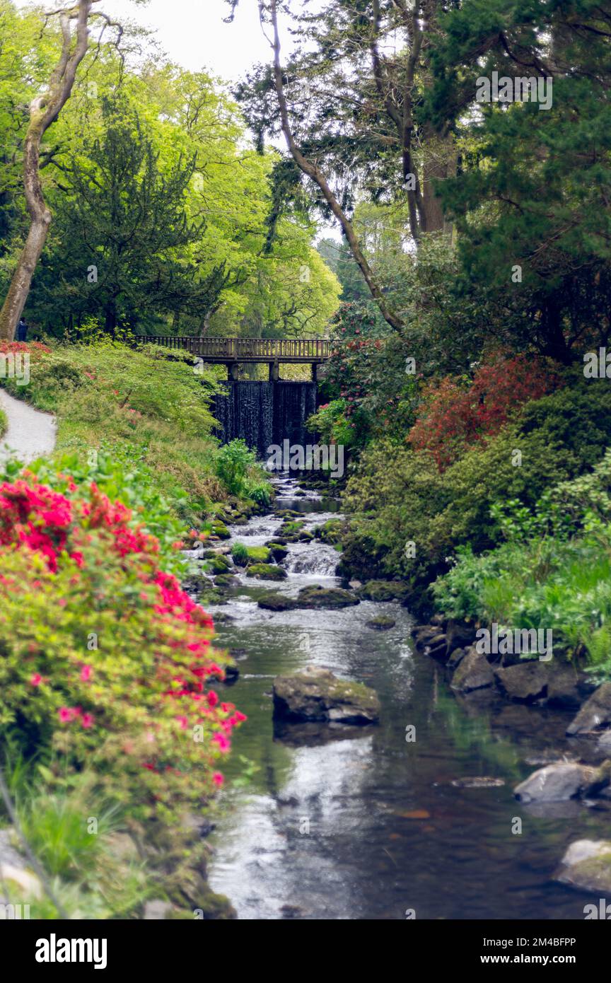 Garden with blooming trees during spring time Stock Photo - Alamy
