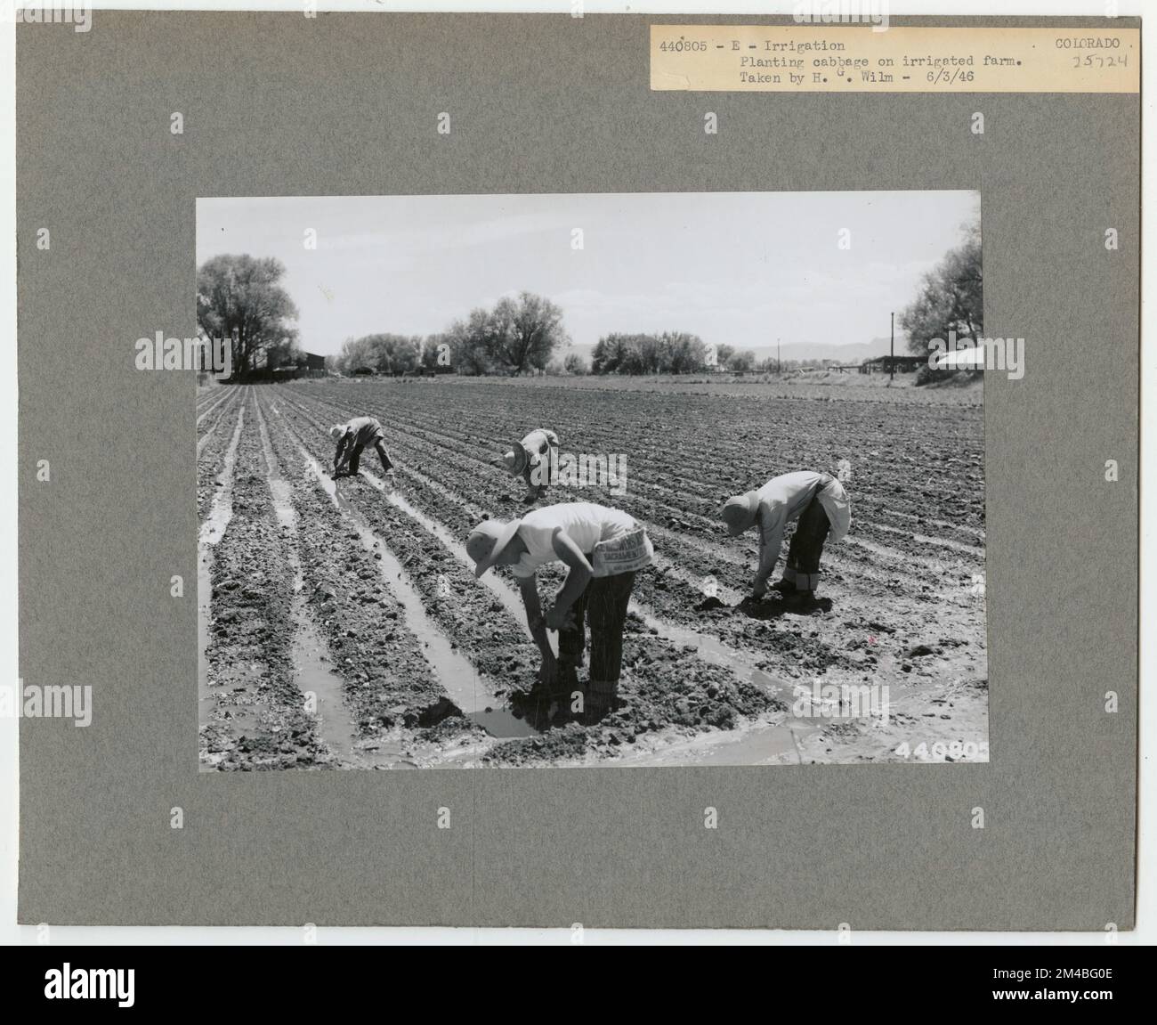 Water Use: Irrigation - Colorado. Photographs Relating to National ...