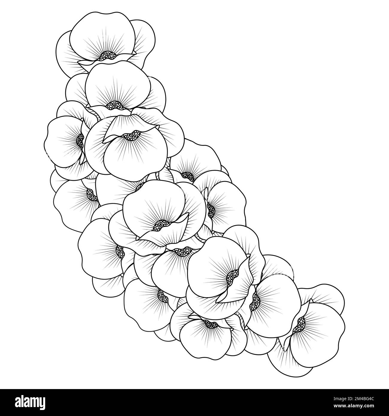 poppies flower line art design of coloring page flower with detailed ...