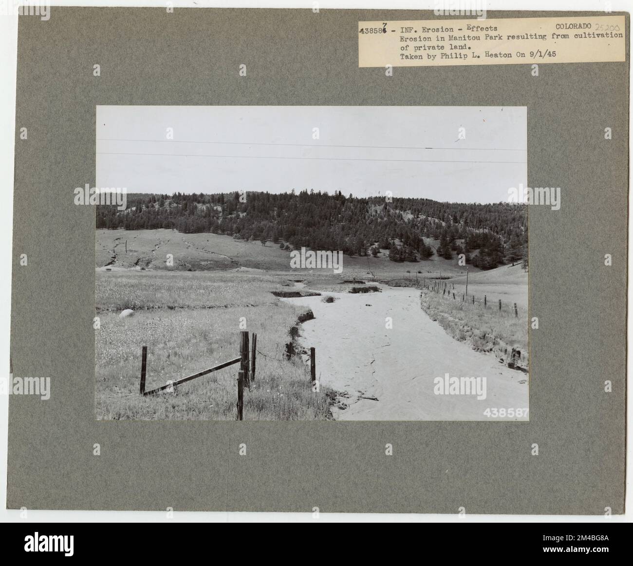 Erosion Effects - Colorado. Photographs Relating to National Forests ...