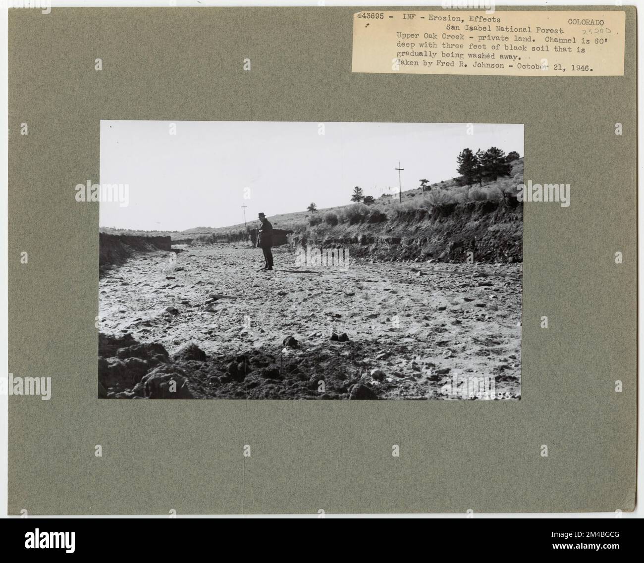 Erosion Effects - Colorado. Photographs Relating to National Forests ...