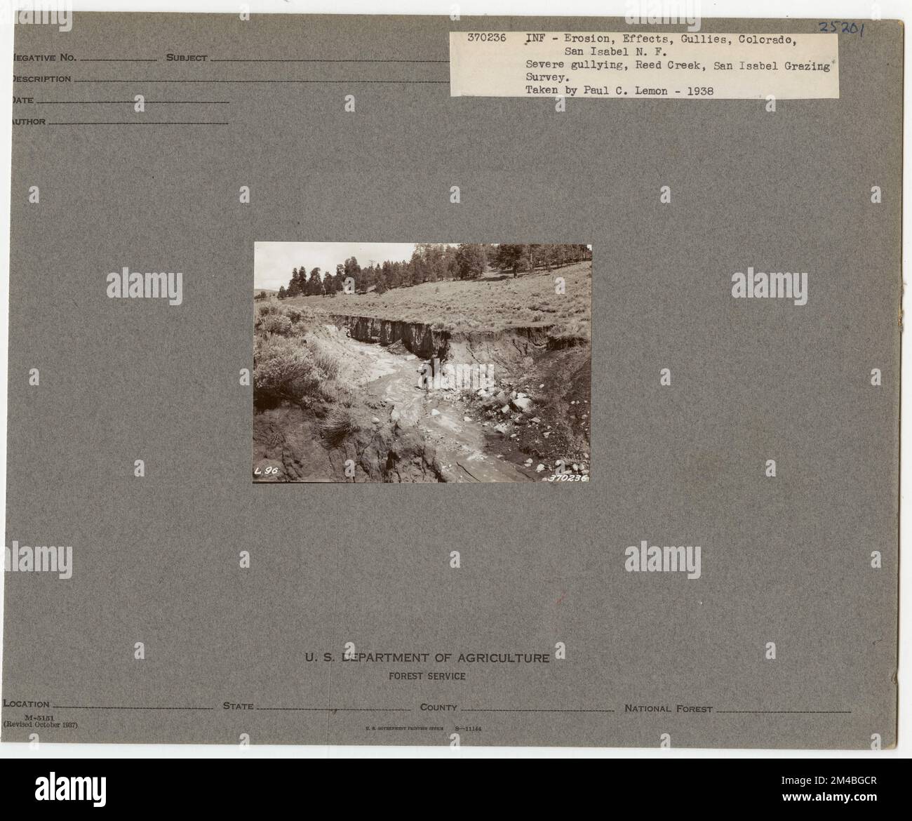 Erosion Effects - Colorado. Photographs Relating to National Forests ...