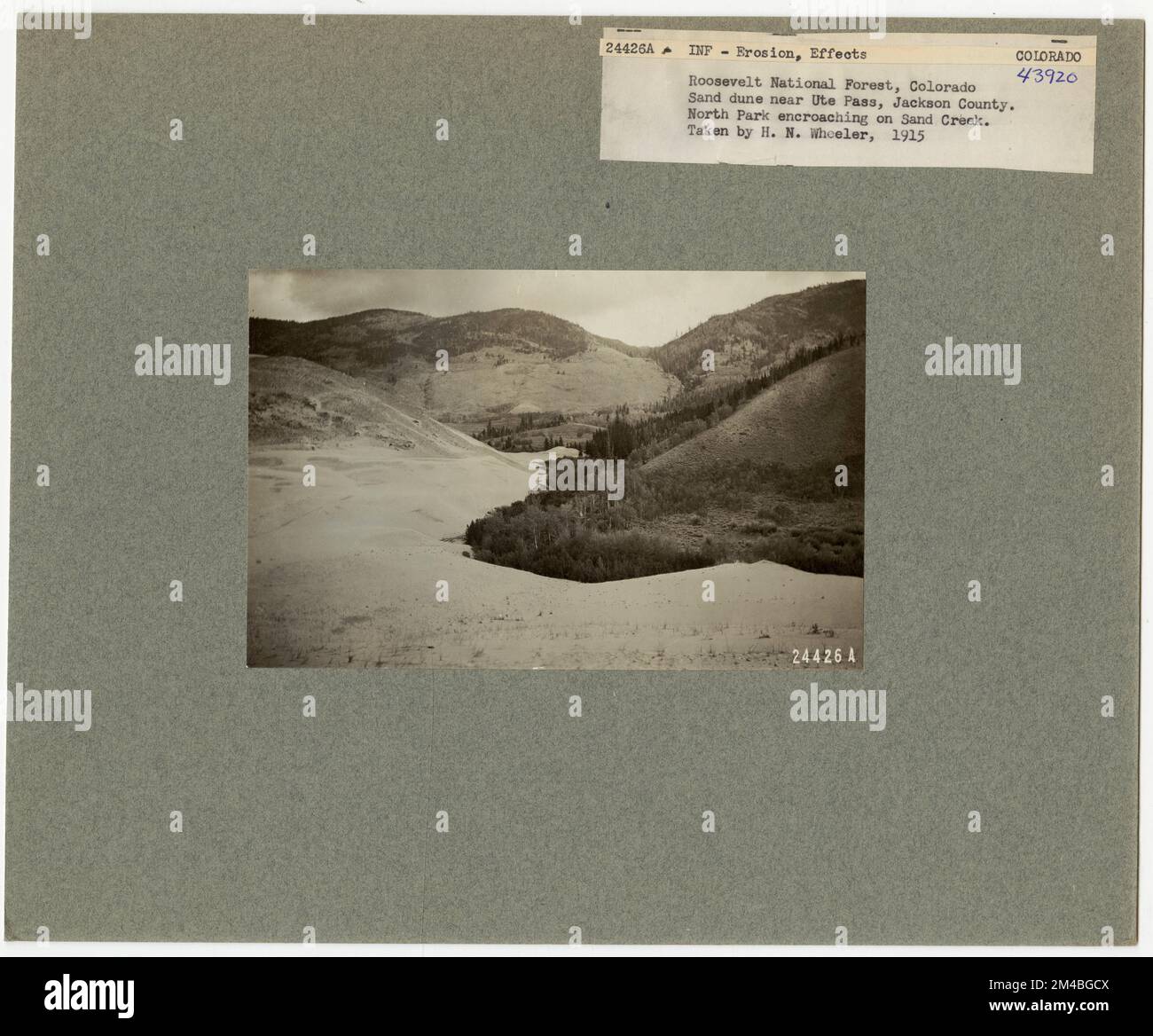 Erosion Effects - Colorado. Photographs Relating to National Forests ...